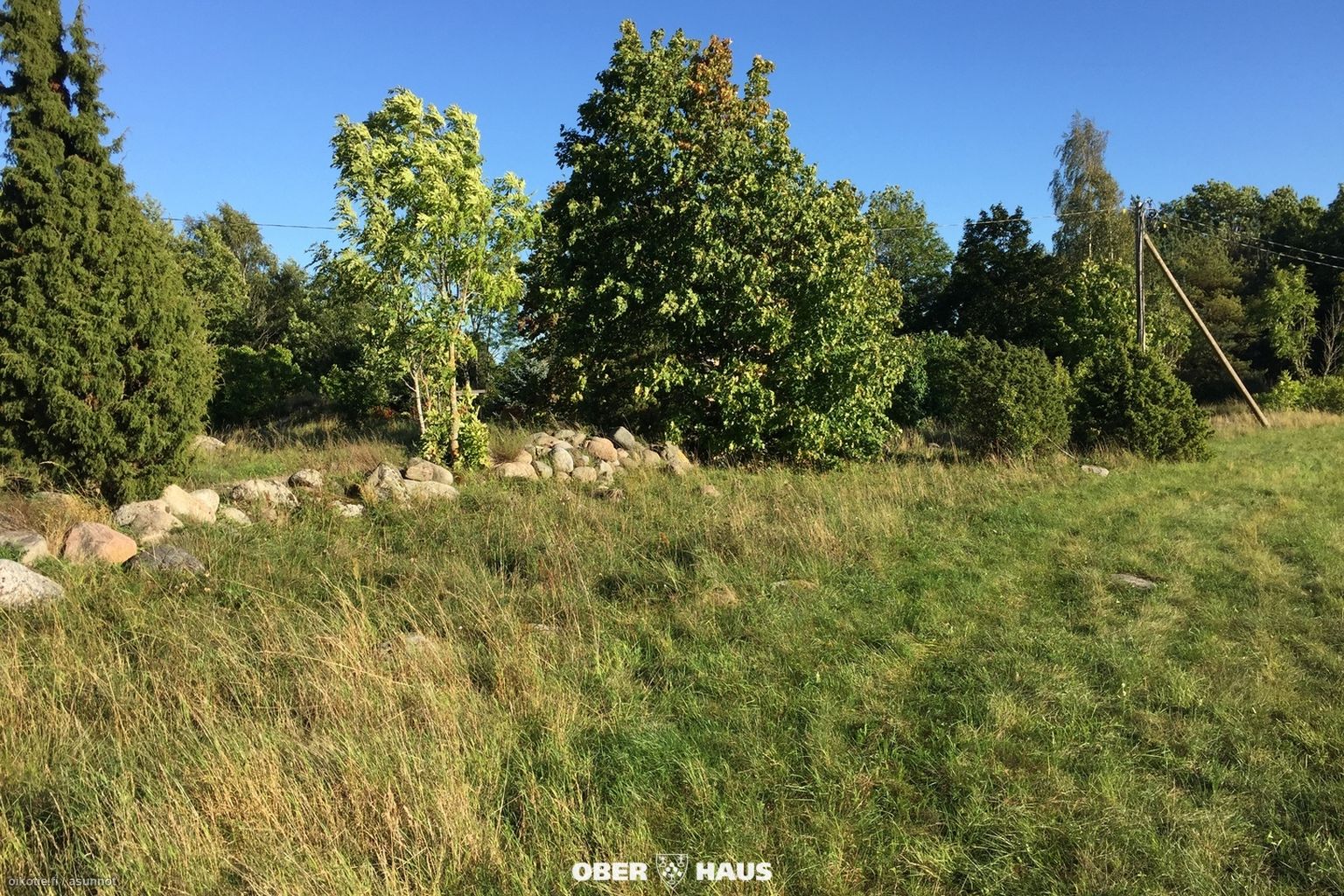 6 934 m² Sipelga, Lääneranna vald Muu tontti myynnissä - Oikotie 16982391