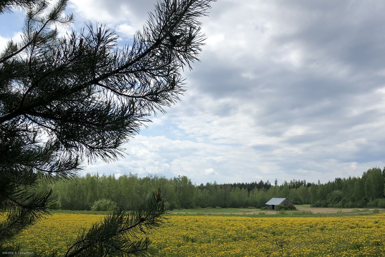 200 m² Valittulantie, 19700 Sysmä Vapaa-ajan asunto 8h myynnissä ...