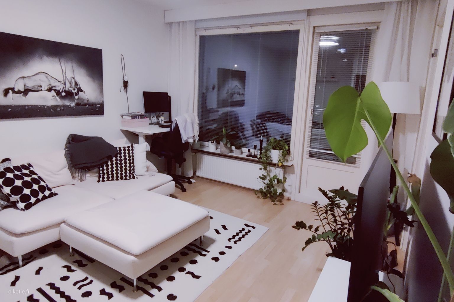 33 m² Pormestarinkatu 6, 06100 Porvoo Kerrostalo Yksiö vuokrattavana ...