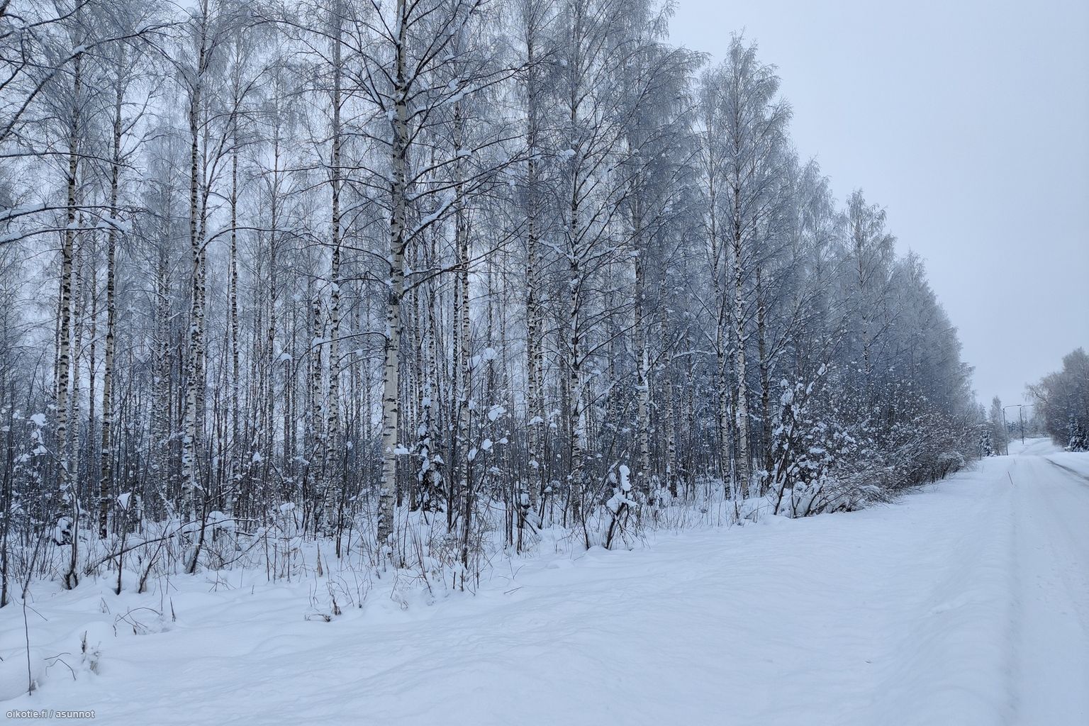 9 700 m² Hamula Määräala 1, 71890 Siilinjärvi Omakotitalotontti ...