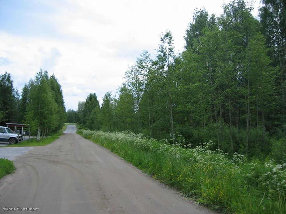 1 000 M Puistotie 2 73600 Kaavi Omakotitalotontti Myynniss Oikotie