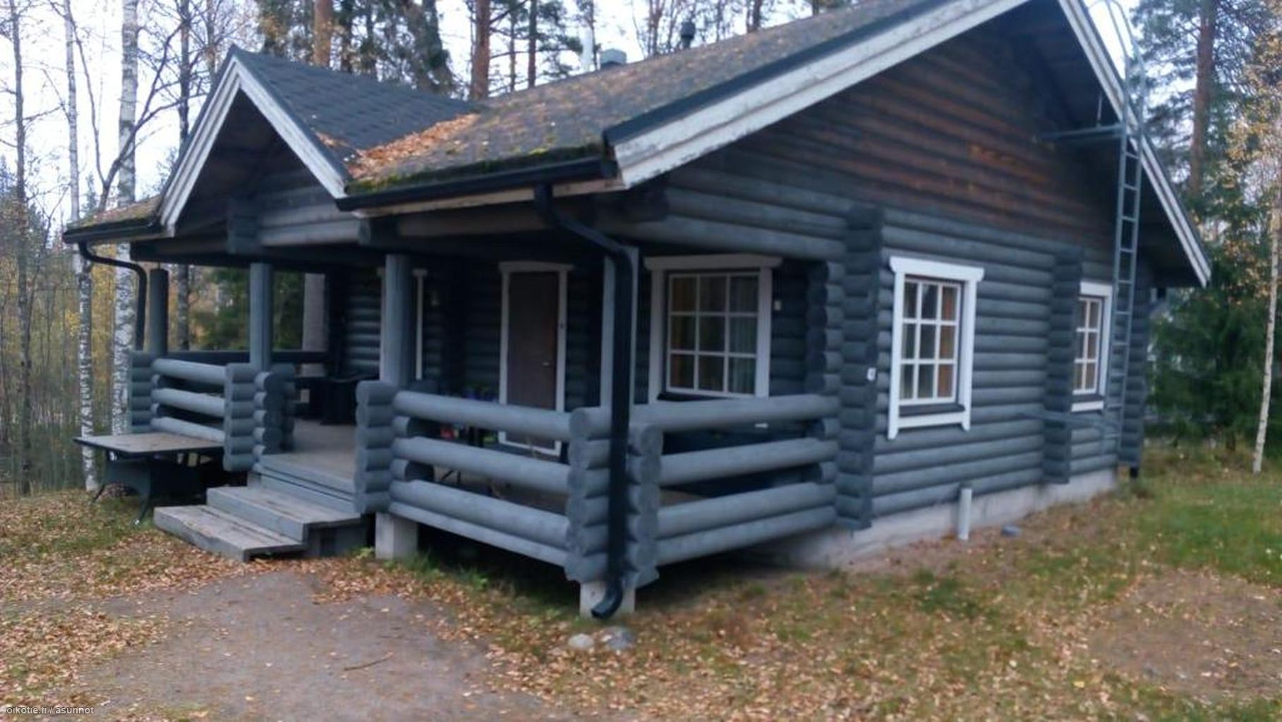 65 m² Freelandia 47, 56120 Ruokolahti Mökki tai huvila 3h myynnissä ...