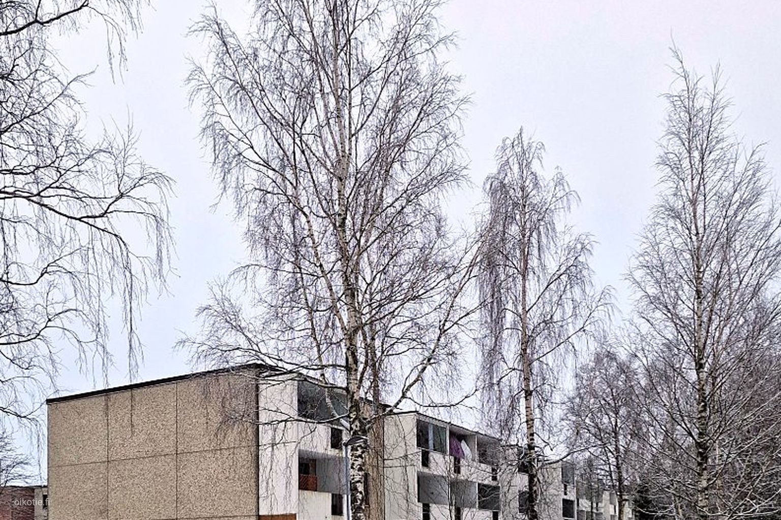 37,5 m² Nurmenpolku 8 A, 32200 Loimaa Kerrostalo Yksiö myynnissä ...