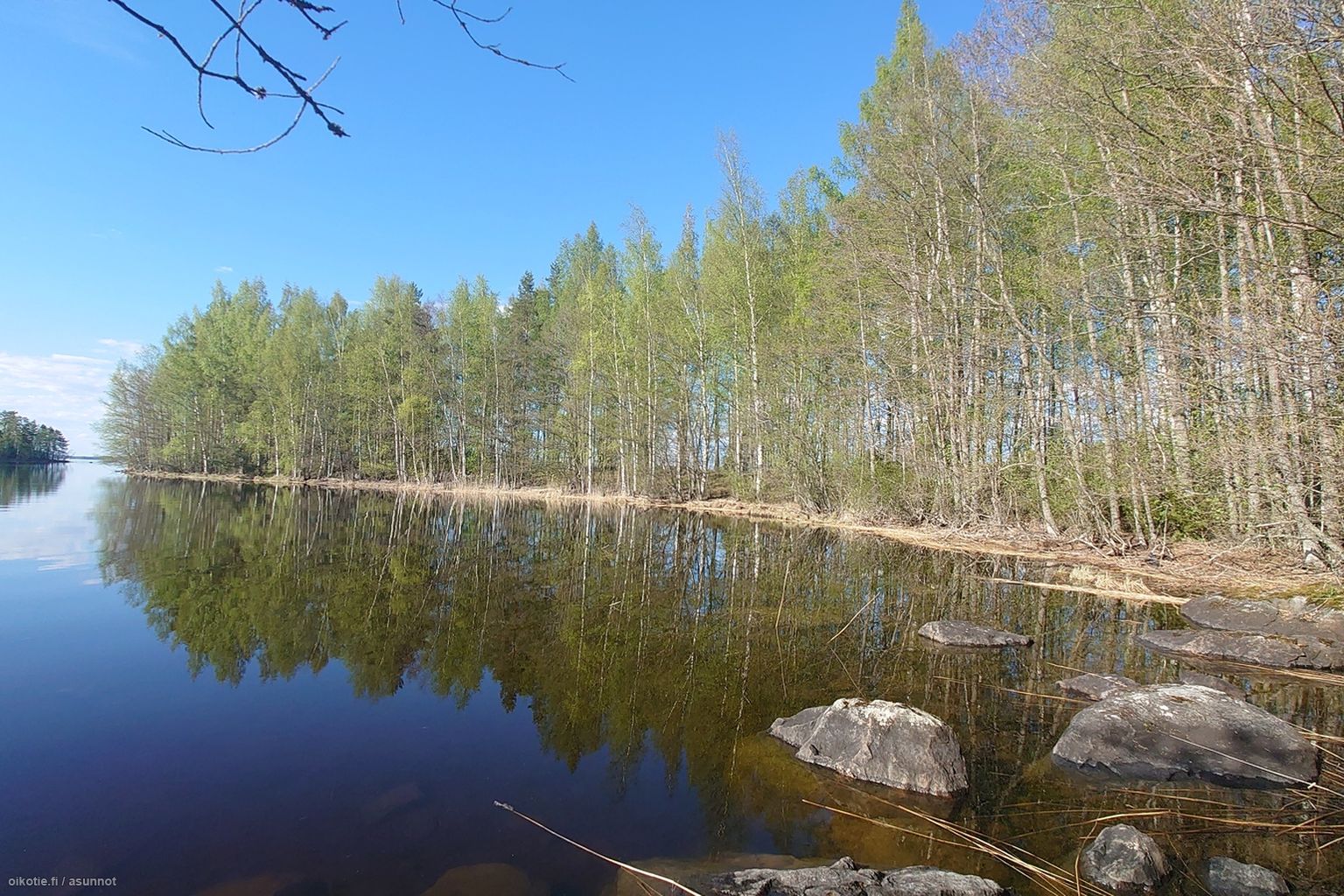 8 400 m² Kaitaniementie, 19700 Sysmä Vapaa-ajan tontti myynnissä ...