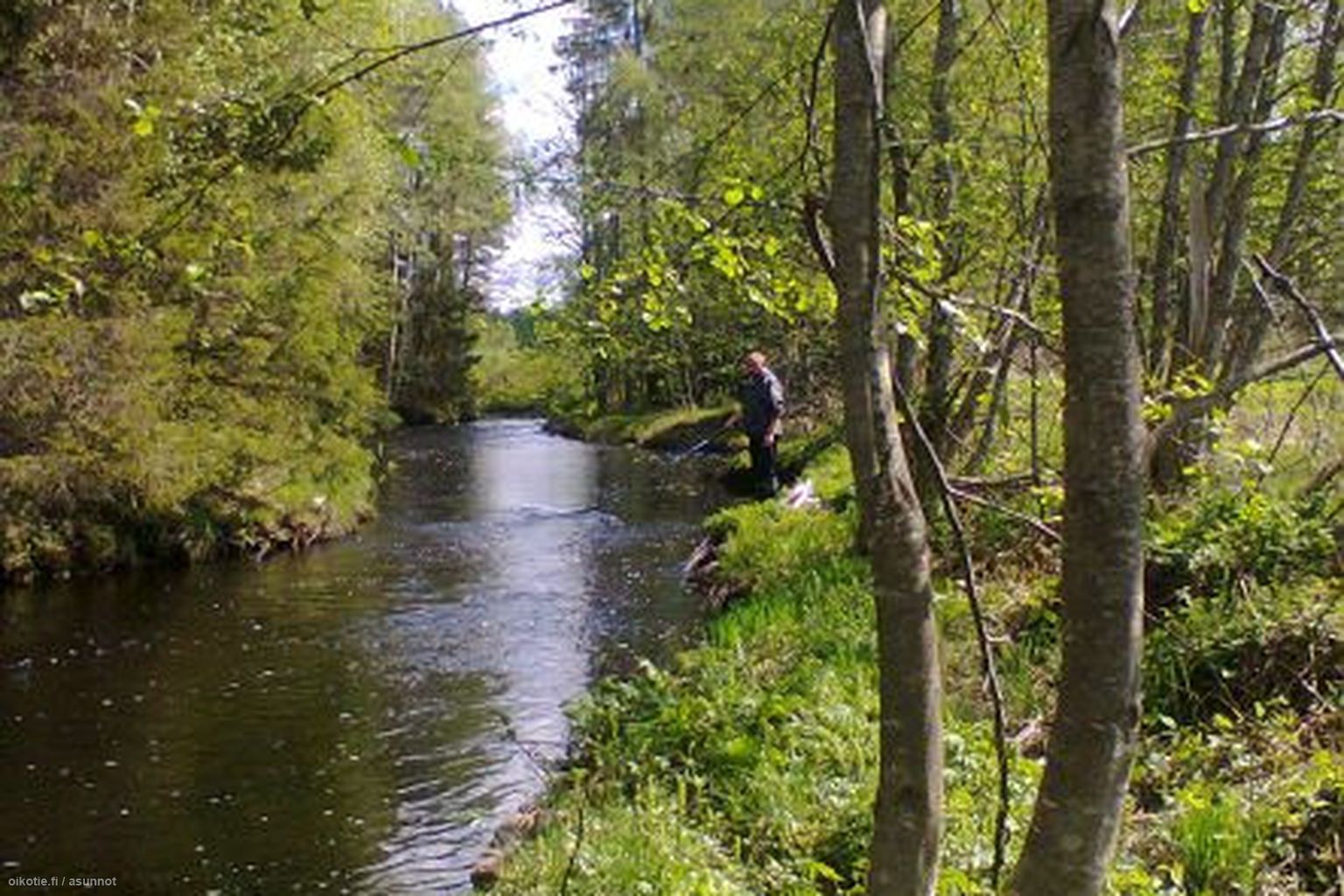 2 700 m² Kalkkitehtaantie 294 b, 62800 Vimpeli Muu tontti myynnissä ...