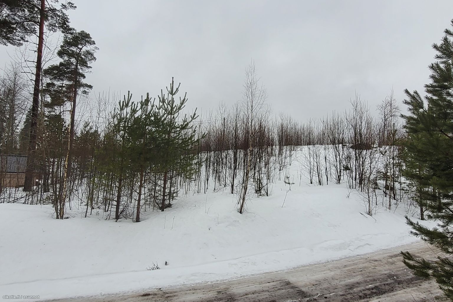 5 000 m² vekselintie 65 b, 03320 Vihti Omakotitalotontti myynnissä ...